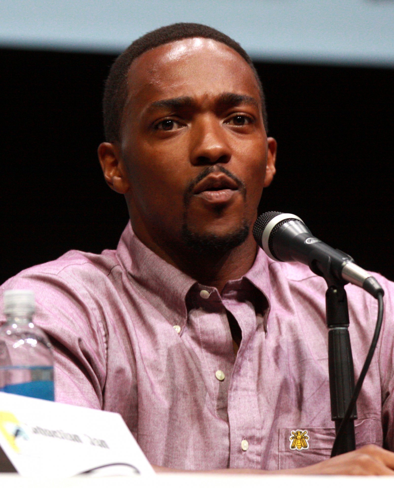 Anthony Mackie says 'Captain America' was 'amazing experience ...